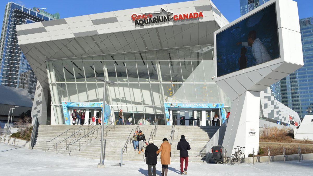 RAC Daytime | Parking.com Promotions